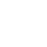 Simulador – Census