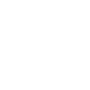 Simulador – Census